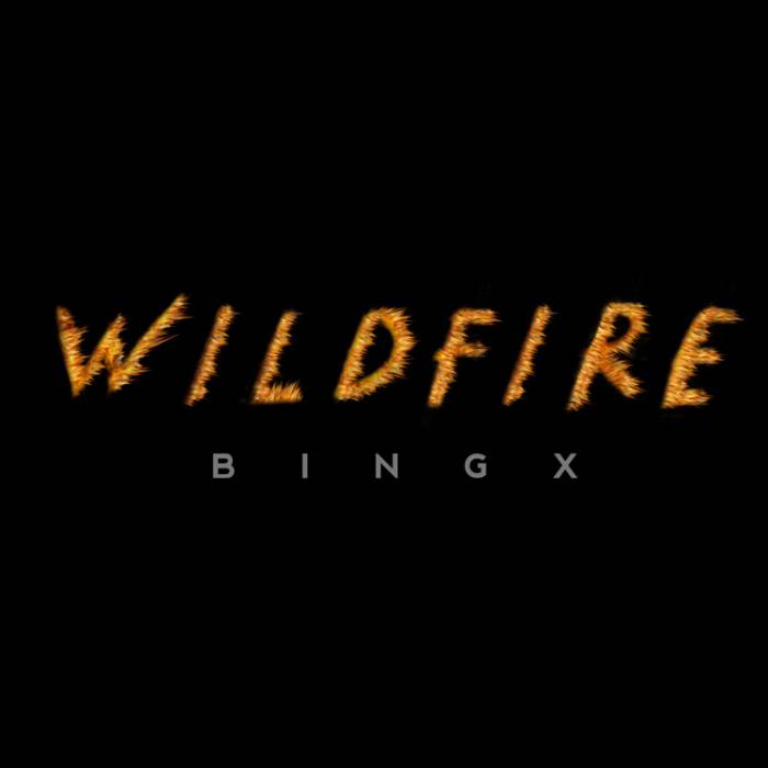 Bingx – Wildfire | Home of Hip Hop Videos & Rap Music, News, Video ...