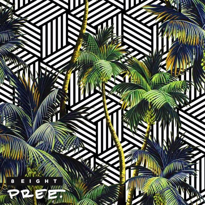 8Eight – Pree (Video) | Home of Hip Hop Videos & Rap Music, News, Video ...