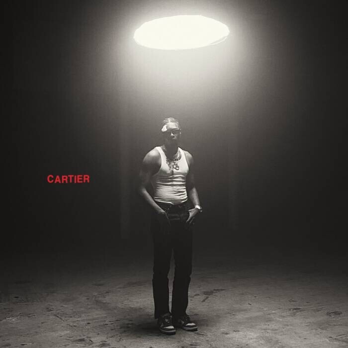 NYC’S AURORA ANTHONY RELEASES NEW SINGLE AND VIDEO “CARTIER” | Home of ...