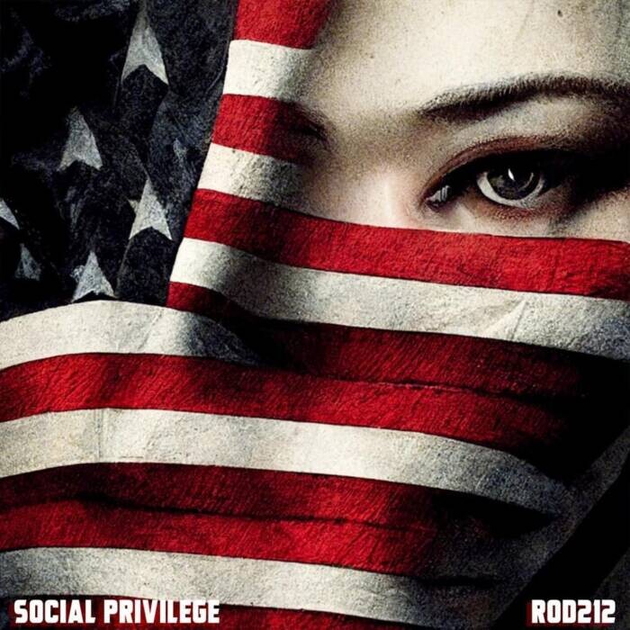 Social Privilege by Rod212: America’s Cold Truth