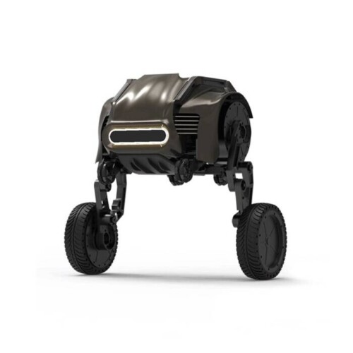 TLC Creative surprised fans by introducing dancing robot dogs with ...